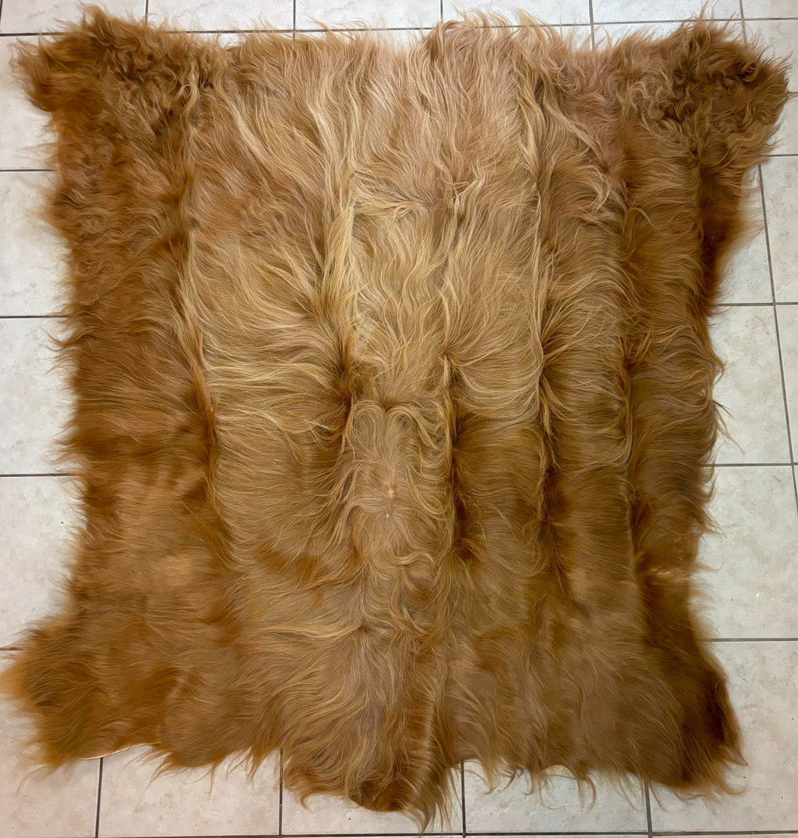 Highland Cow Hide – Thor Haven Farm